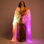 Smart LED Fan Veils - 100 LEDs (1 pair) - Light Solutions ETERE - by ...