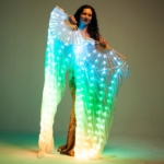 Smart LED Fan Veils - 100 LEDs (1 pair) - Light Solutions ETERE - by ...