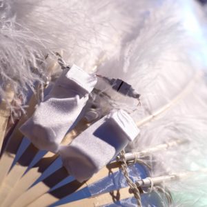 Smart Burlesque LED Fans with Feathers _P26 - by ETERESHOP