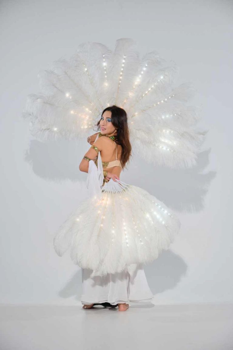 Smart Burlesque LED Fans with Feathers _P26 - by ETERESHOP
