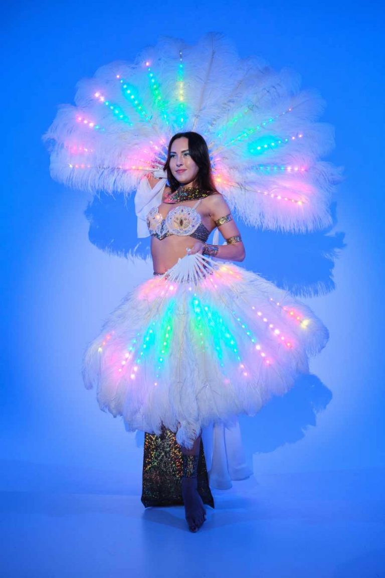 Smart Burlesque LED Fans with Feathers _P26 - by ETERESHOP