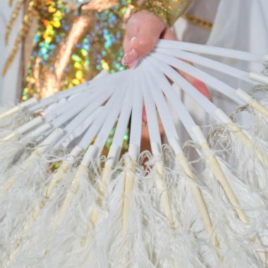 Smart Burlesque LED Fans with Feathers _P26 - by ETERESHOP