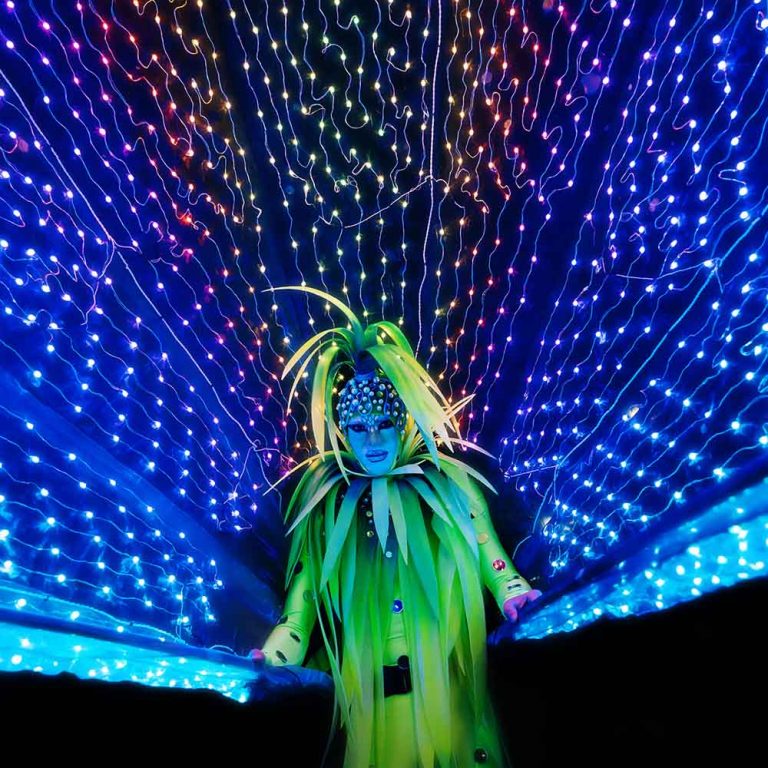Smart Pixel Peacock Fantail with 2700 LEDs 3.6 Meters High