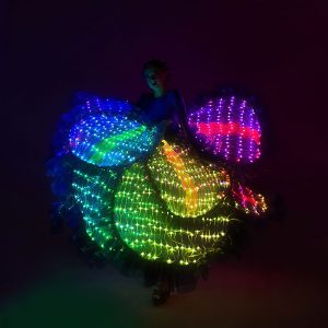 Led light up Adult Flower Dress for stage performances - ETERE
