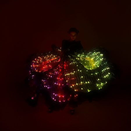 Led light up Adult Flower Dress for stage performances - ETERE