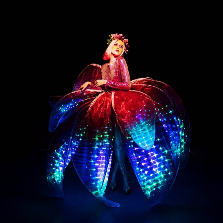 38 Mardi Gras Costumes and 15 Mardi Gras dresses - by ETERESHOP