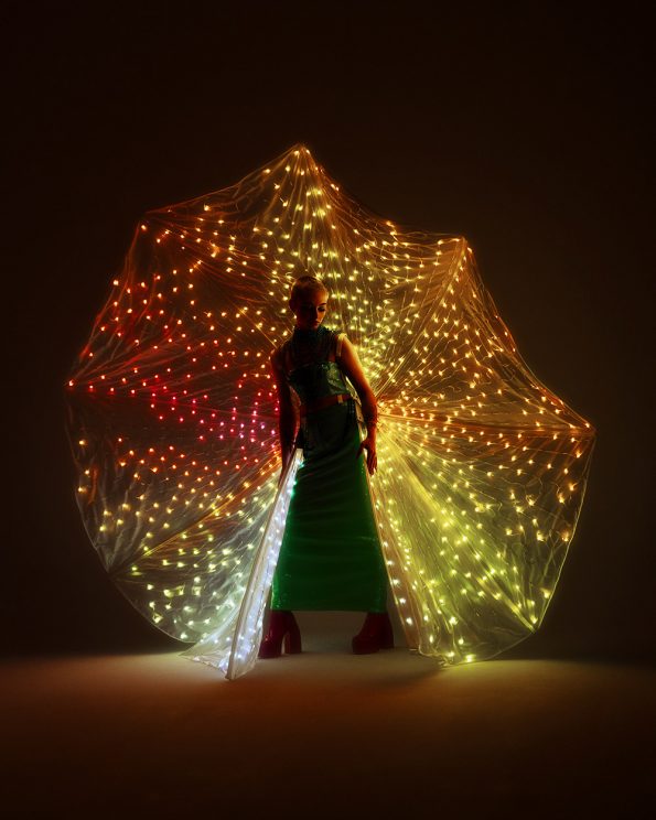 Peacock Tails at an affordable price - Light Solutions ETERE