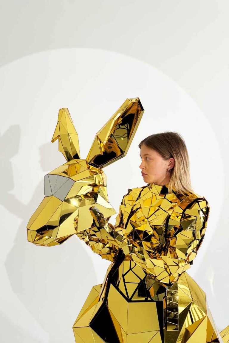 Adult Mirror Kangaroo Costume - ETEREshop