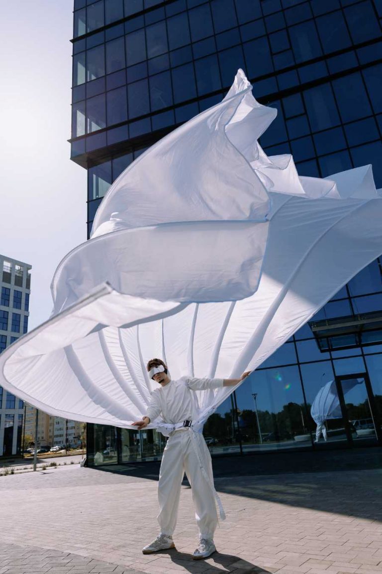 Flexible Huge Peacock Fan Tail Costume for street performances