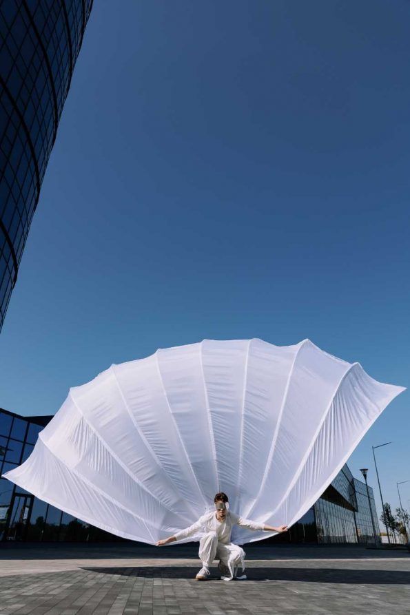 Flexible Huge Peacock Fan Tail Costume for street performances