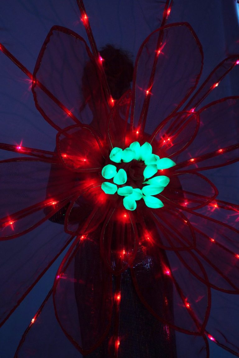 Flower Costume with 160 LEDs Back Placement